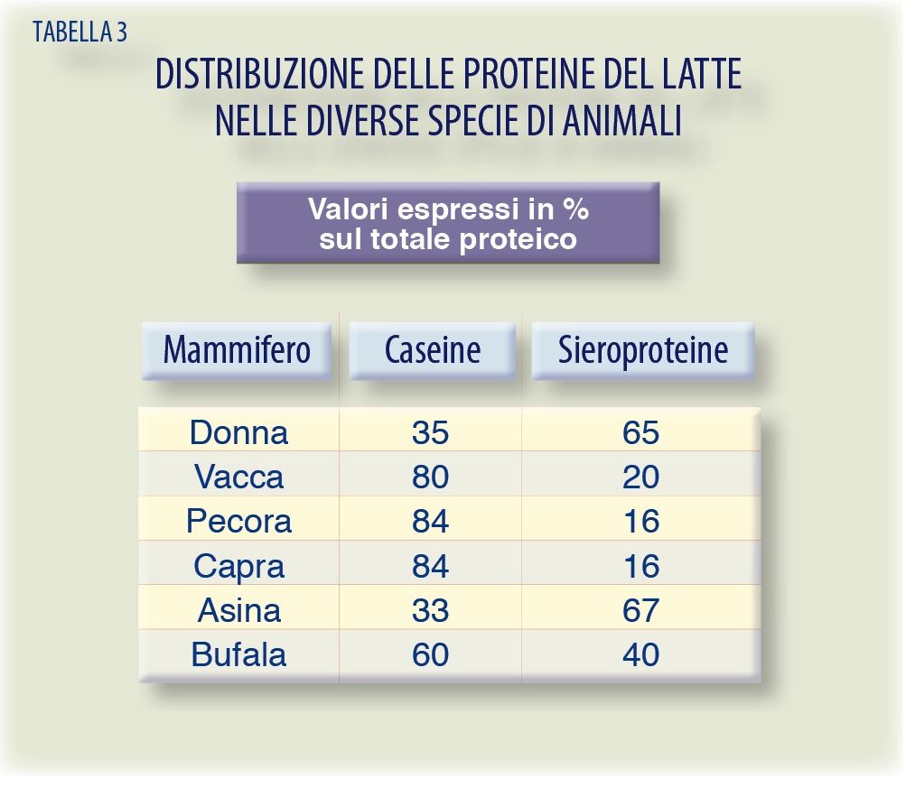 Latte animale - Master Veganic